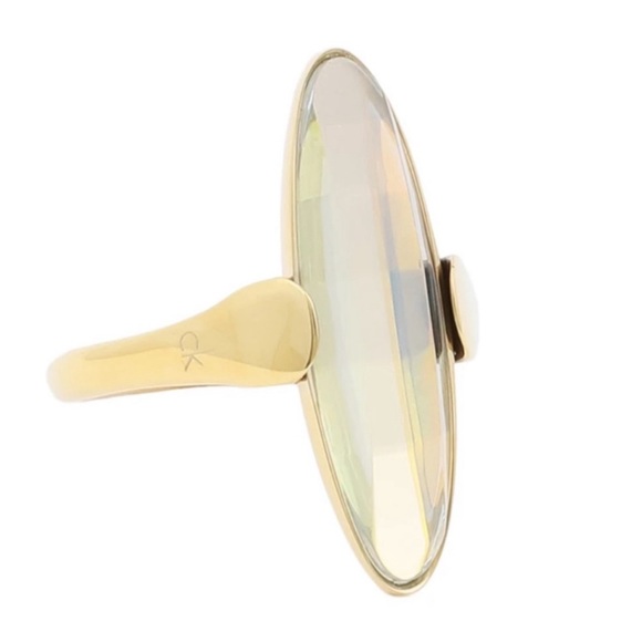 Calvin Klein | Jewelry | Calvin Klein Continuity Slim Oval Faceted ...